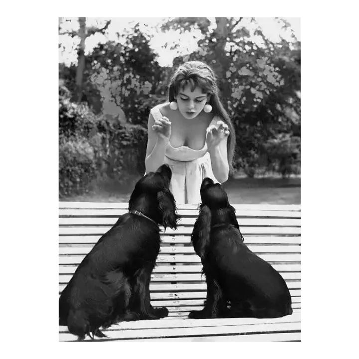 Brigitte Bardot and Her Dogs 16" X 20" | Chairish