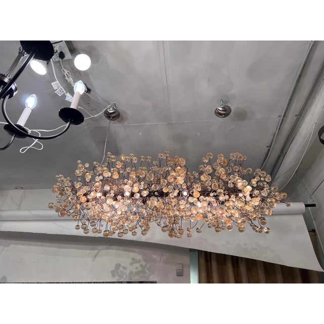 Emanuel Morez Matawi Maji Chandelier | Chairish