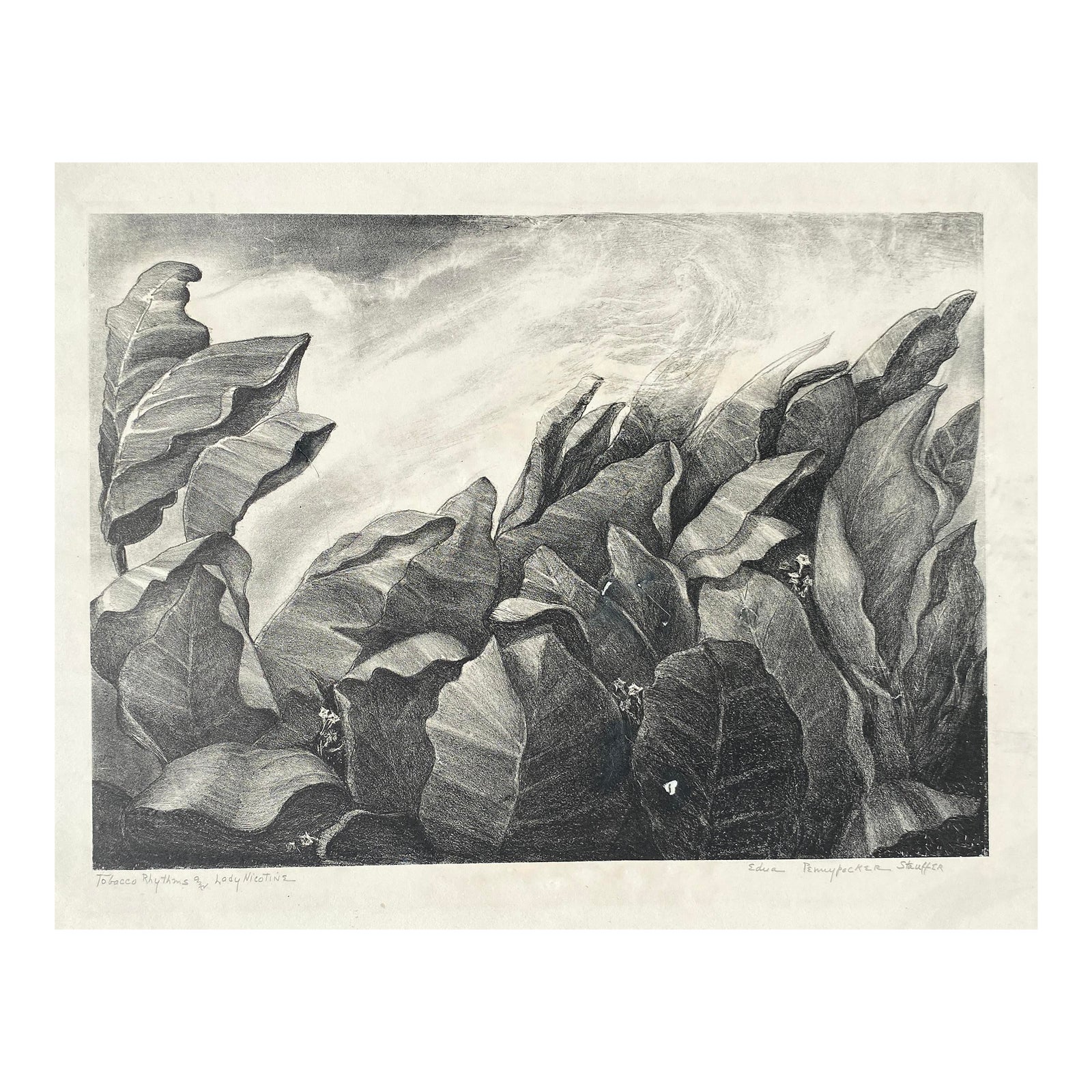 Edna Pennypacker Stauffer Tobacco Lithograph | Chairish