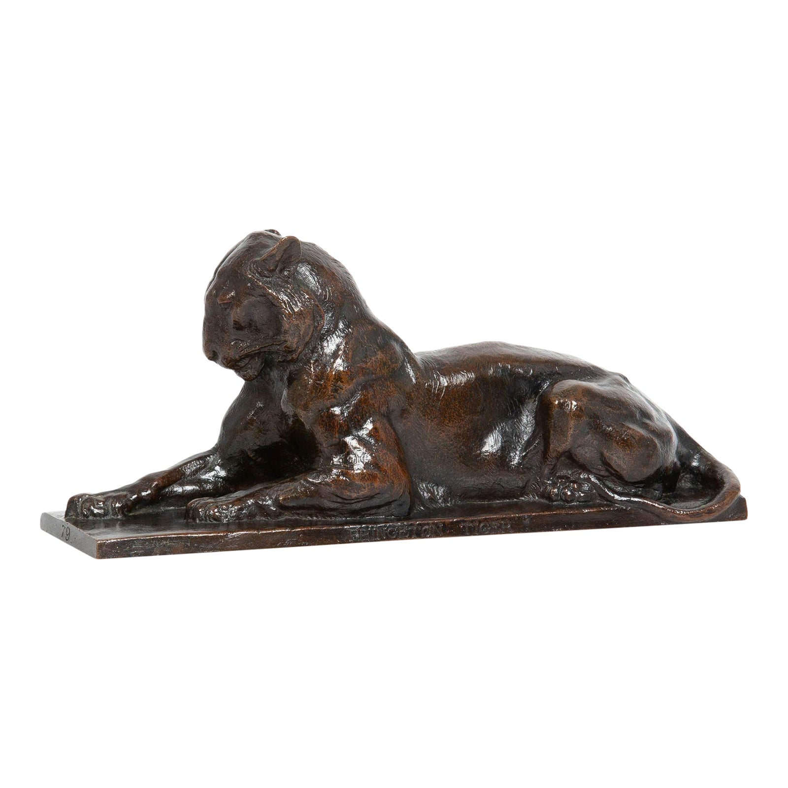 Rare American Sculpture of “Princeton Tiger” by Alexander Phimister ...