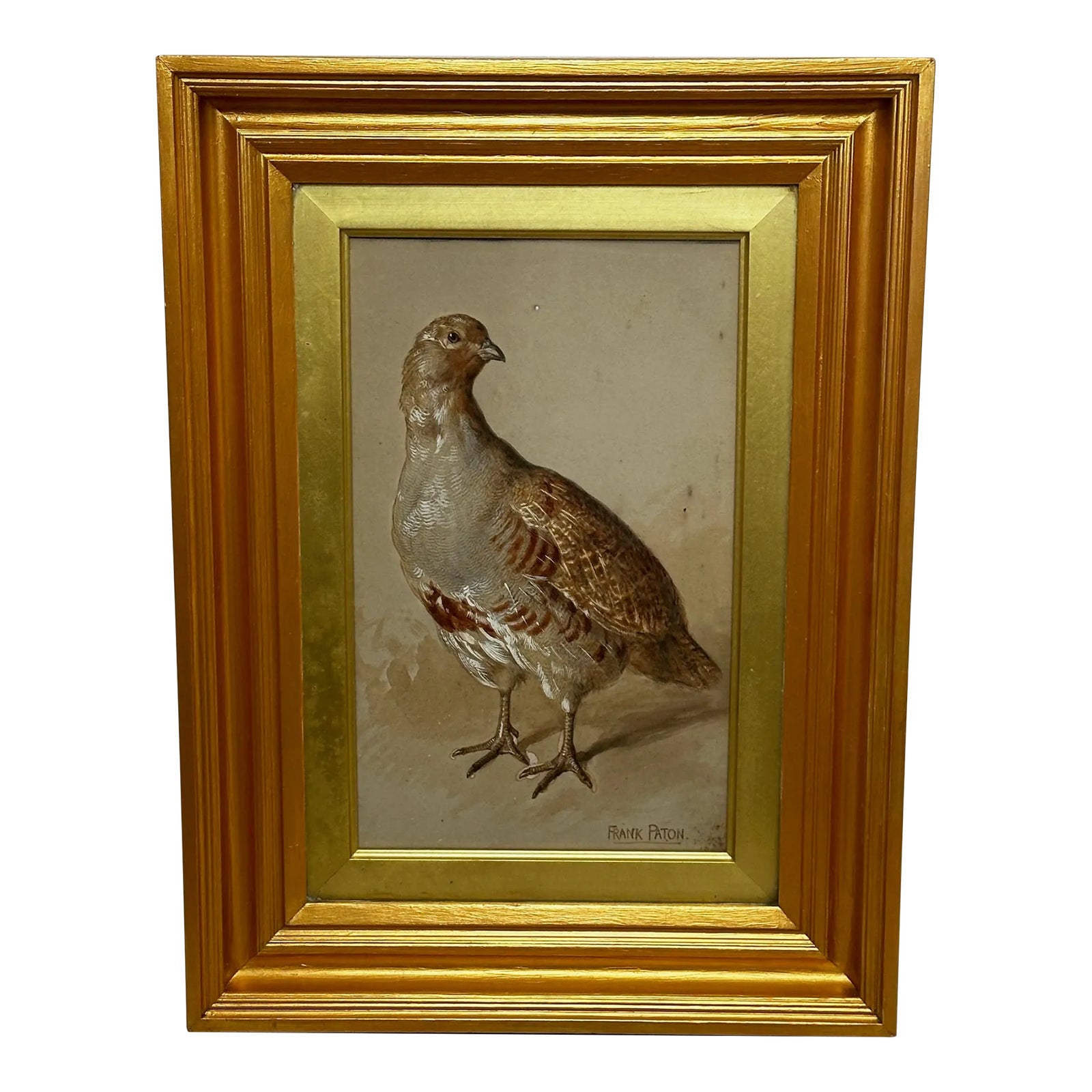 British Victorian Watercolour Painting Partridge Game Bird by Frank ...