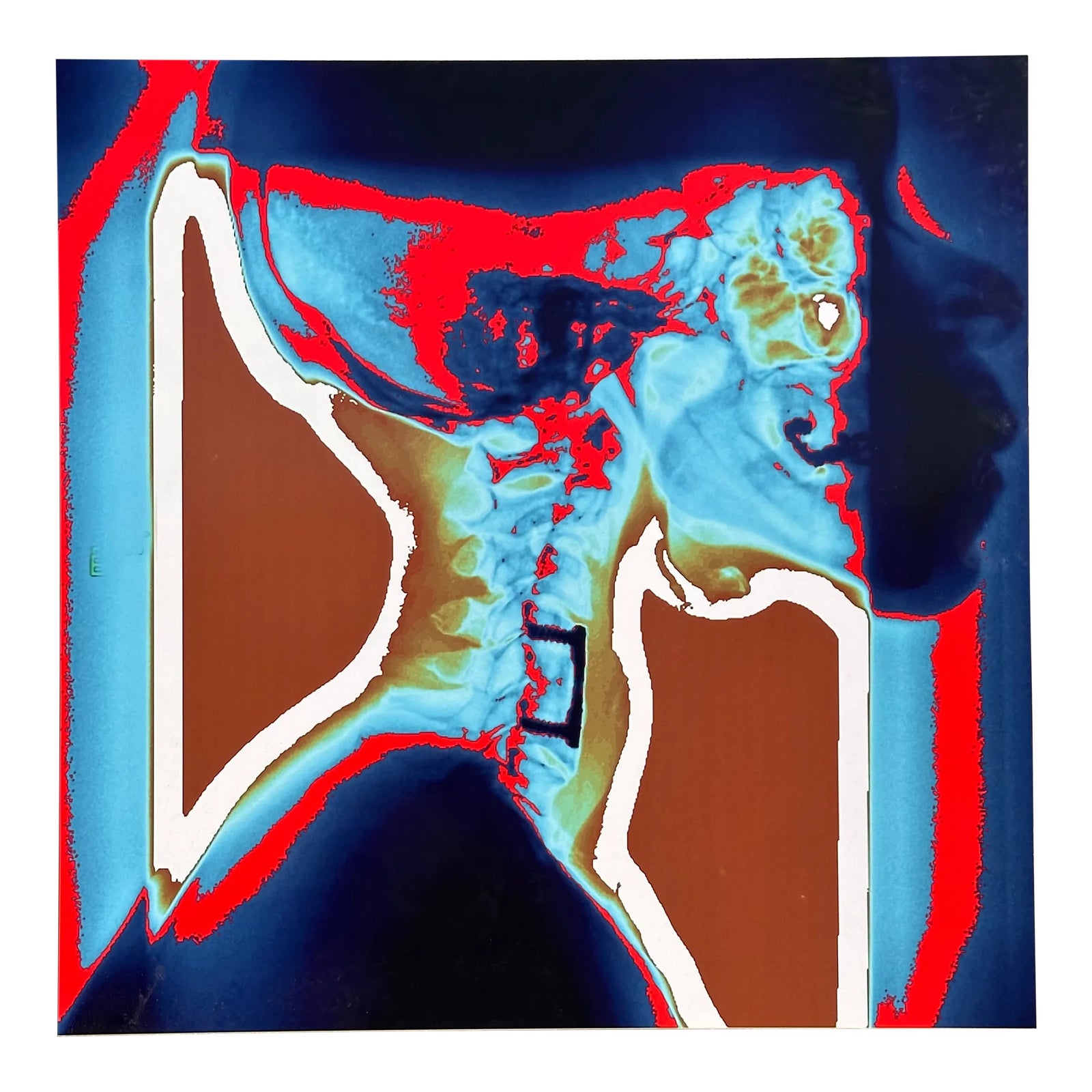 Modern Techno Skeleton Art of a Skull on Aluminum | Chairish