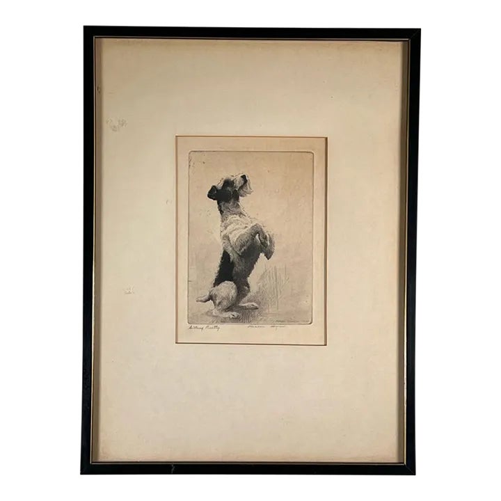 1930s Dennis Morgan Dog Portrait Etching "Sitting Pretty" | Chairish
