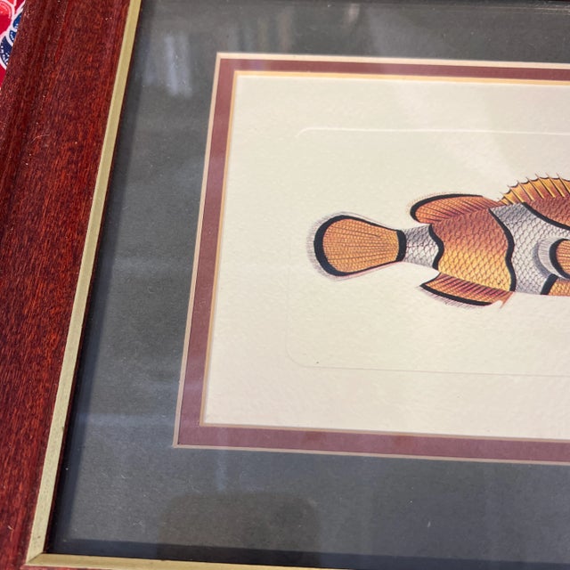 Vintage Pair of Framed Fish Prints | Chairish