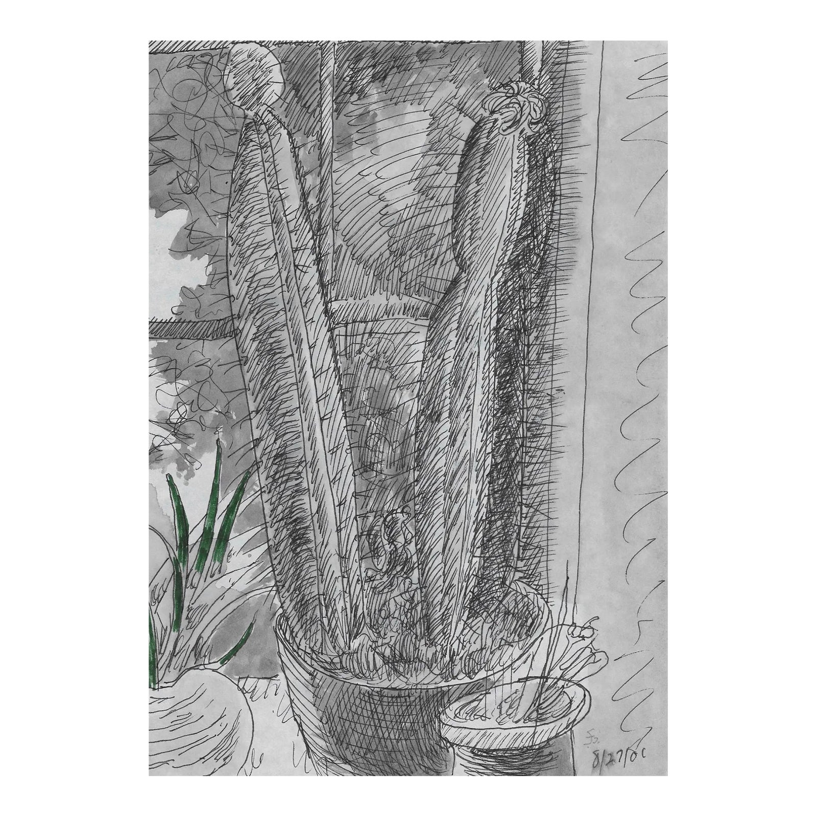 James Bone Cactus Still Life Drawing | Chairish