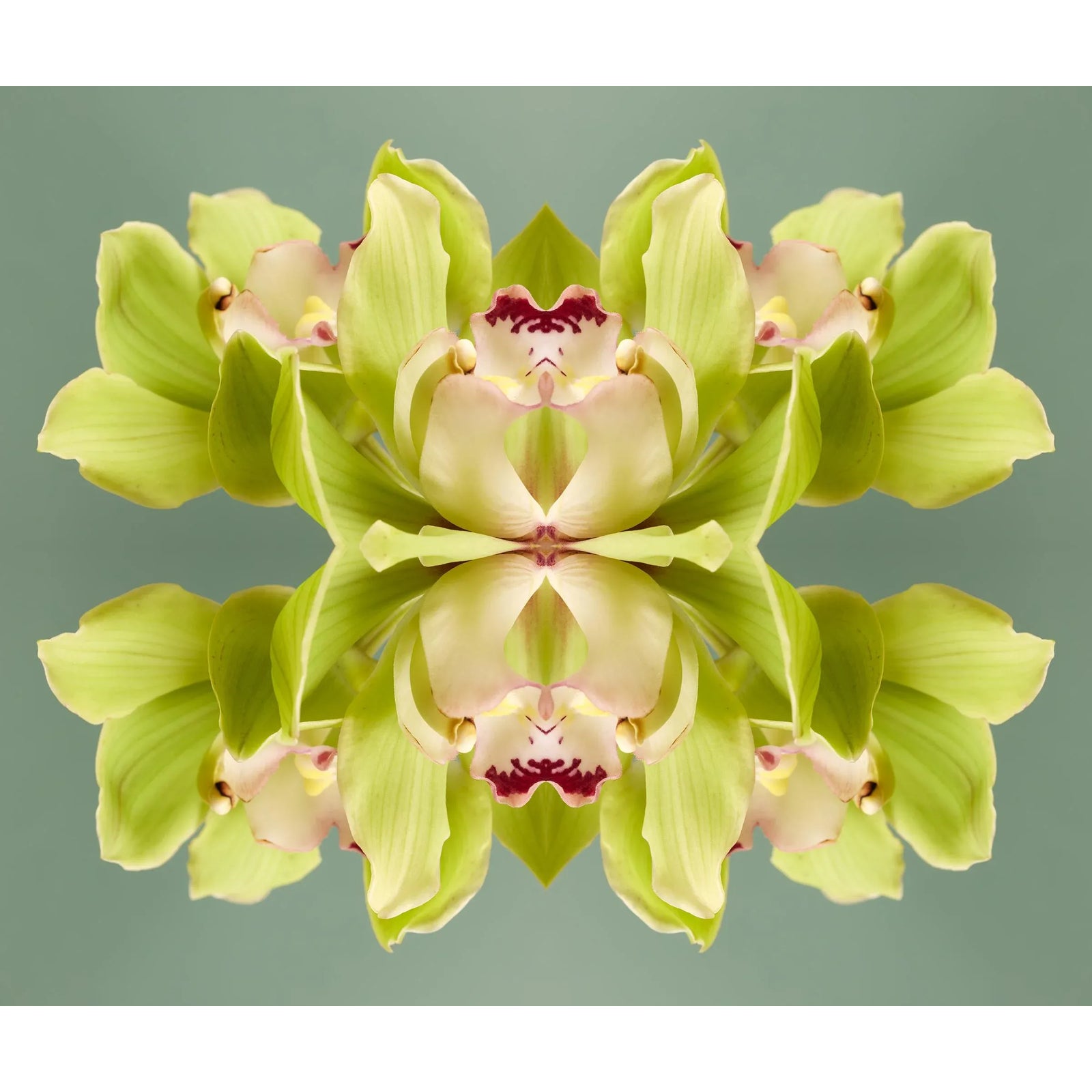 "No. 287" Erin Derby Op Art Limited Edition Print | Chairish