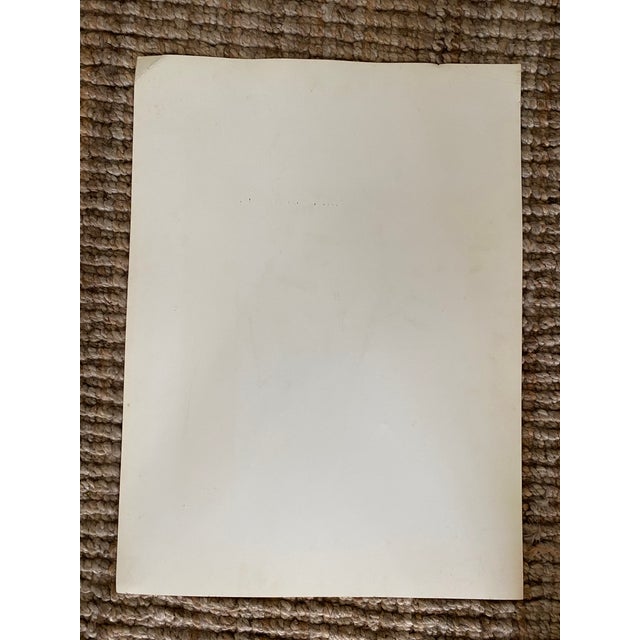 Vintage Large Scale Female Nude Torso Drawing | Chairish