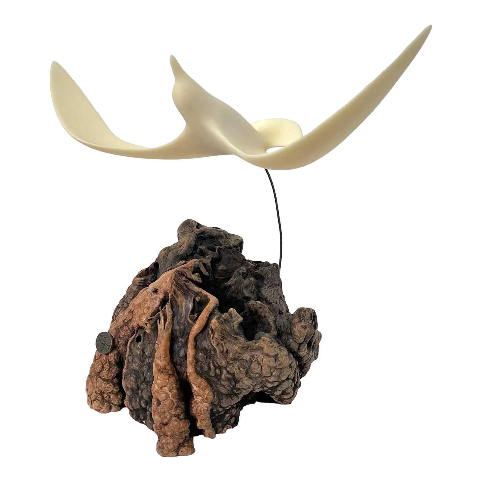 Large John Perry Burl Wood Mounted Flying White Seagull Kinetic Art ...