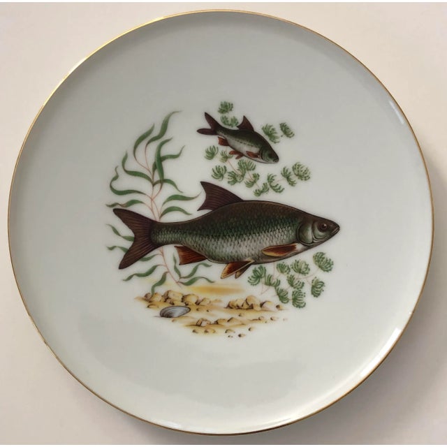 1930s Pre-Ww2 Decorative Fine Porcelain Fish Plates, Bavaria, Germany ...