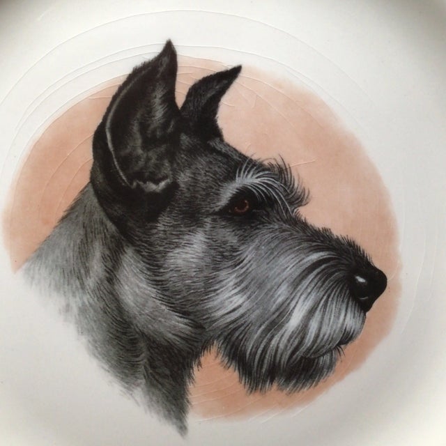 Vintage Solian Ware Simpson's Potters Ltd Cobridge England Schnauzer ...
