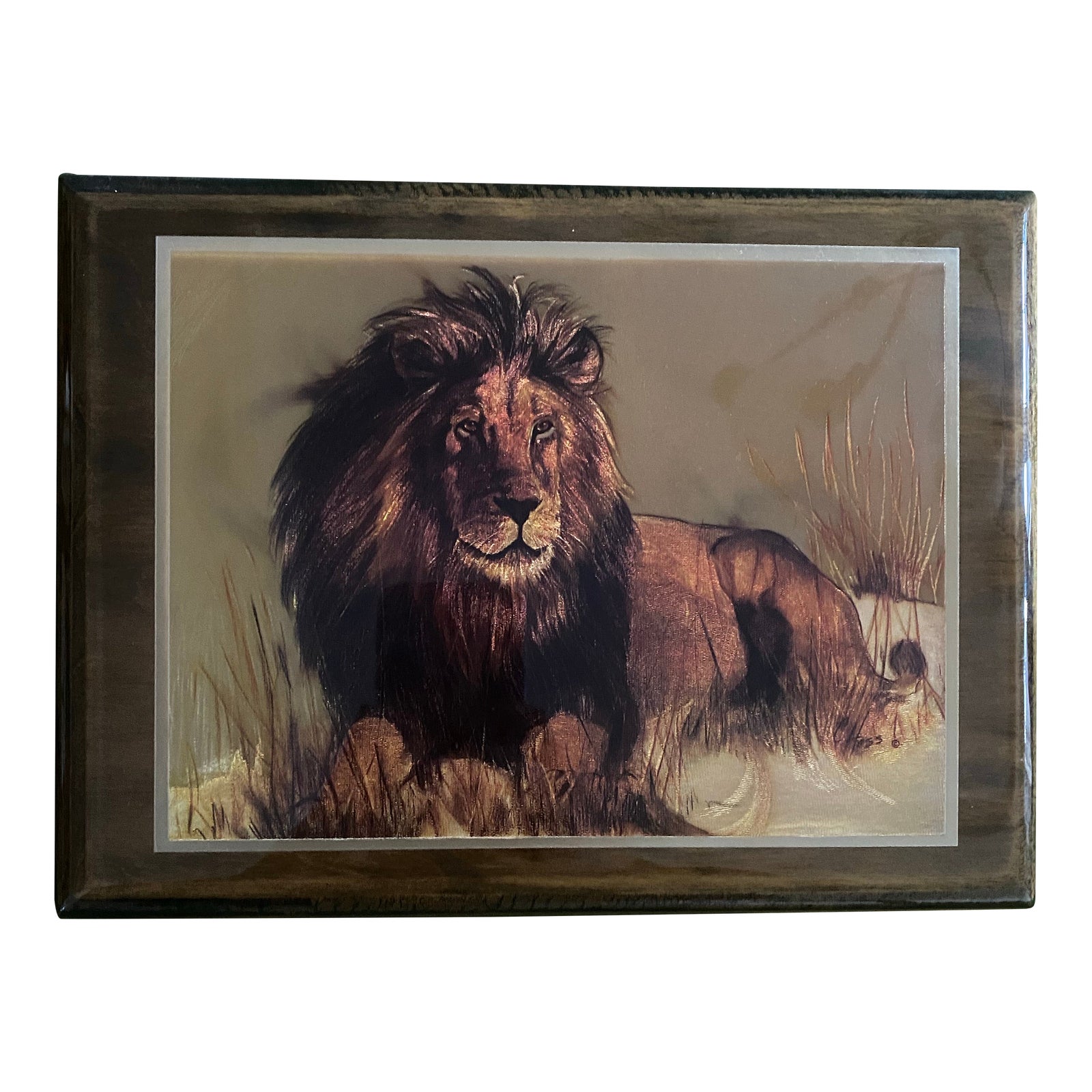 Vintage 1980s Carole Hoss “Pride Leader” Lion Dufex Print Sold by ...