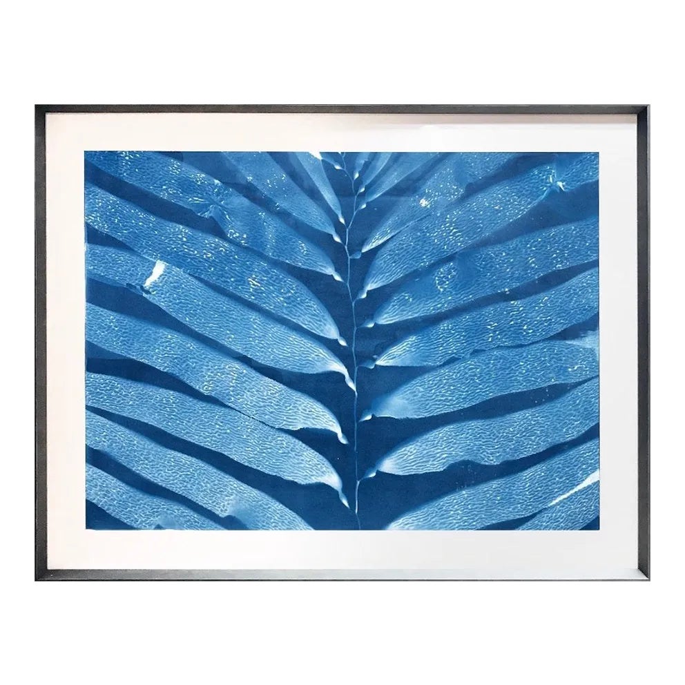 A Natural Color Cyanotype on Paper, "Giant Kelp" | Chairish