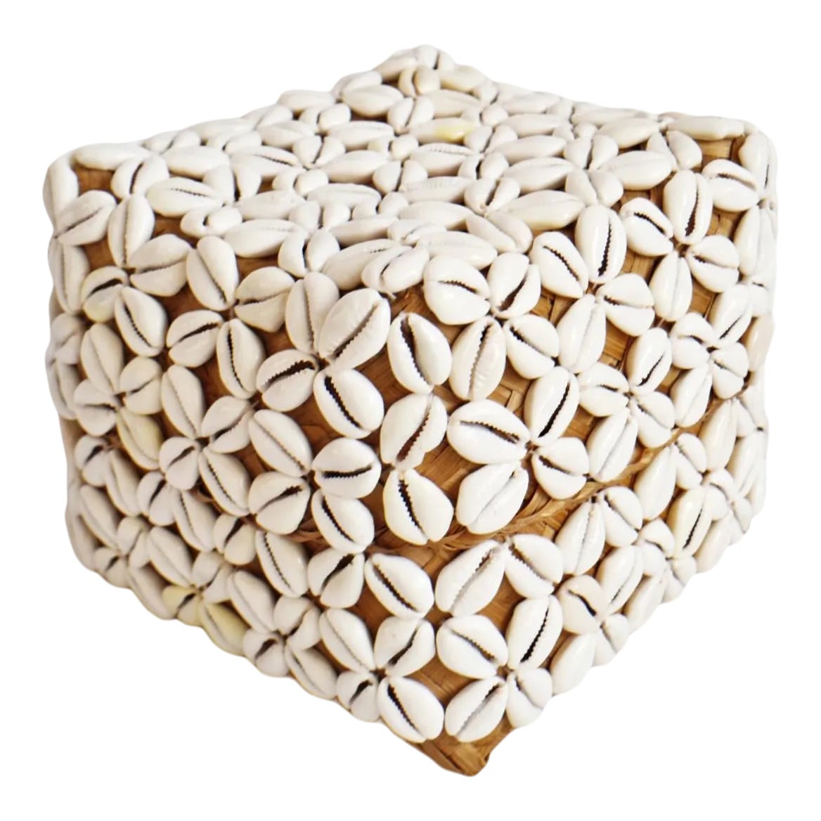 Cowry Shell Box Medium | Chairish