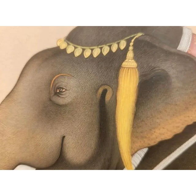 Indian Miniature Mughal Elephant Painting , Original Indian Royal ...