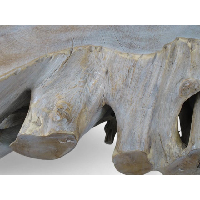 Organic Modern Bleach White Teak Root Coffee Table | Chairish