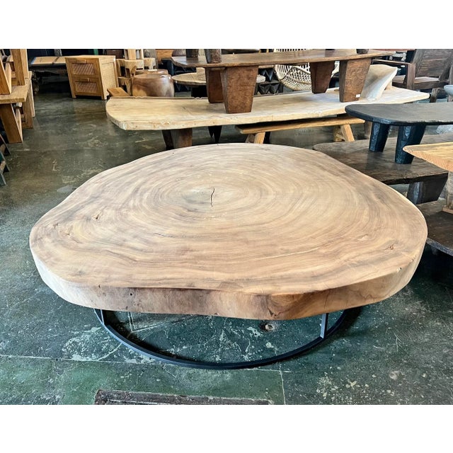 Organic Pod Wood Coffee Table | Chairish