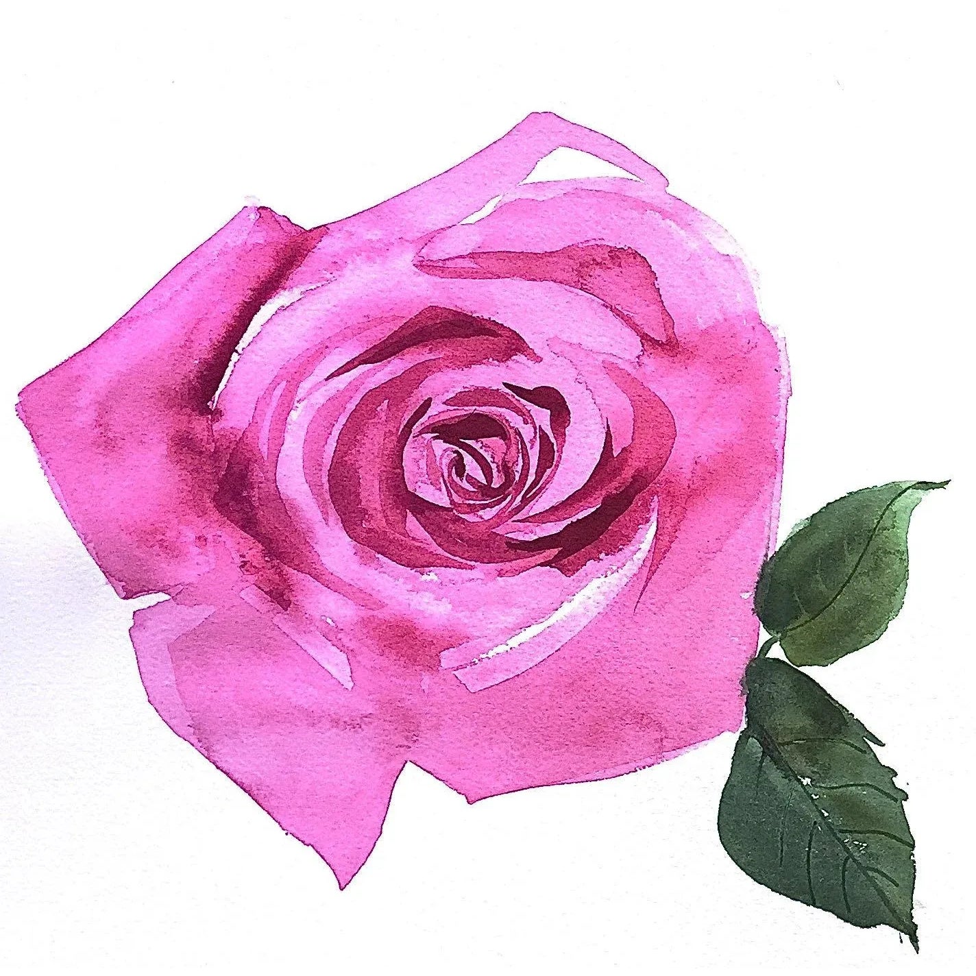 Pink Rose Floral, Original Watercolor Painting by Gretchen Kelly | Chairish