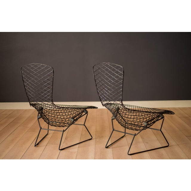 Vintage Pair of Black Bird Lounge Chairs by Harry Bertoia for Knoll ...