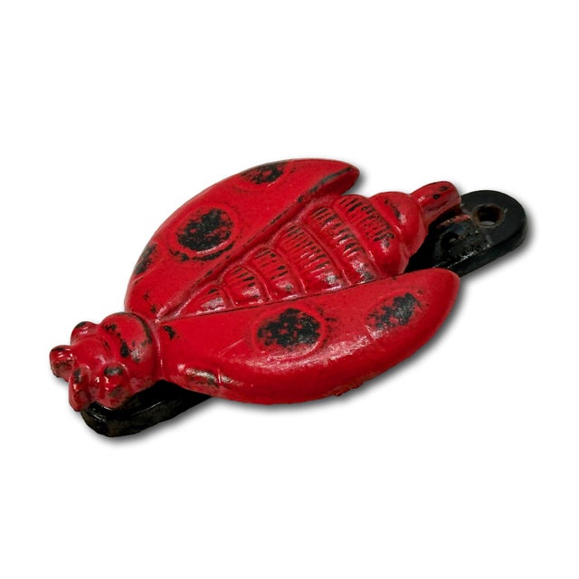 Hard to Find Large Size Vintage 1930s Cast Iron Ladybug Door Knocker ...