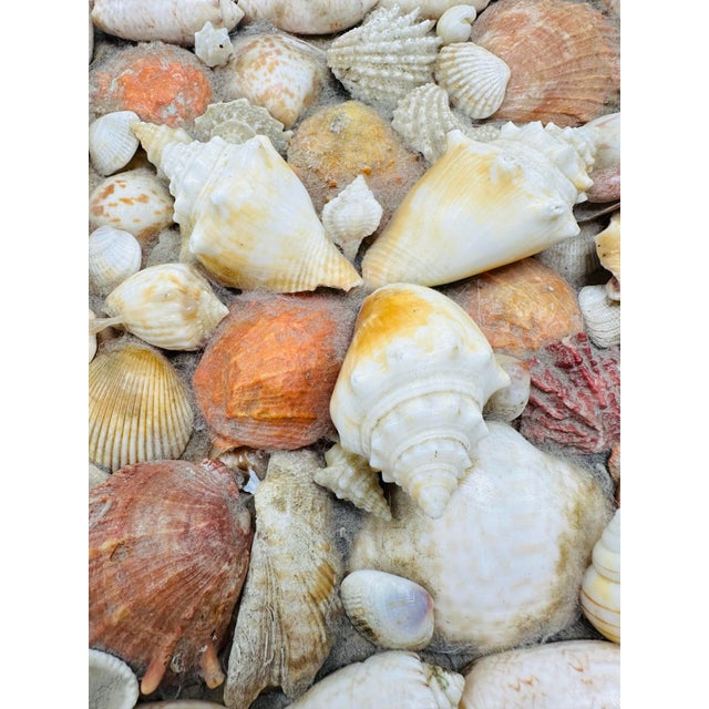 Vintage Coastal Shell Box | Chairish