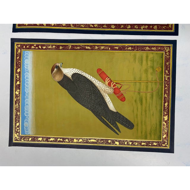 Vintage Original Hand Painted Indian Mughal Miniature Hawk and Falcon ...