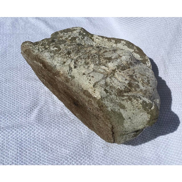 Antique English Cast Stone Garden Rabbit | Chairish