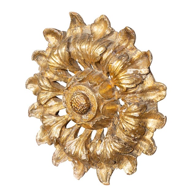 Swedish Neoclassical Giltwood Ceiling Roundel | Chairish