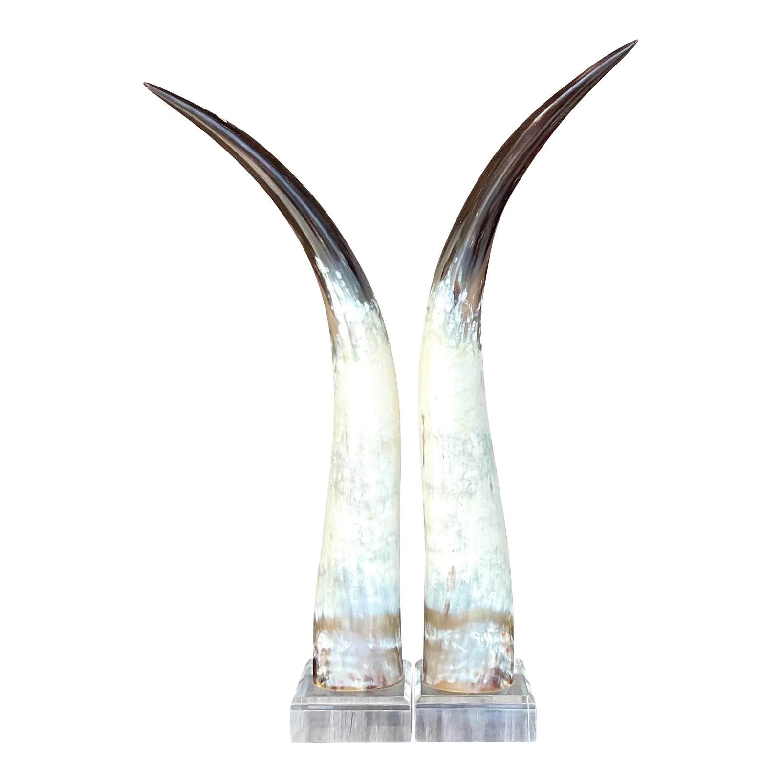 Vintage Boho Custom Horns on Lucite - a Pair | Chairish