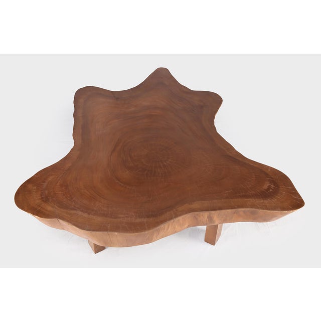 Modern Brown One Slab Living Edge Coffee Table 59 | Chairish