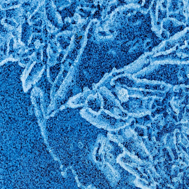 "Baltic_Ice_PeipsiJaerv_024" Contemporary Limited Edition Fine Art ...