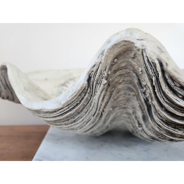 Large Vintage Coastal Gypsum Sculptural Clam Sea Shell Decorative Bowl ...