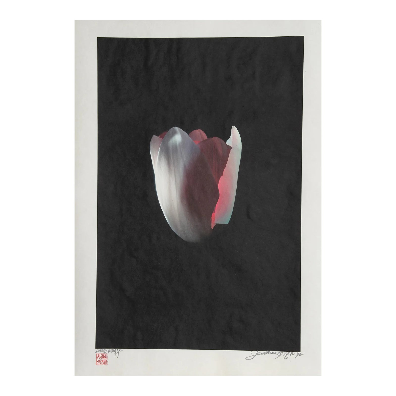 Floating Tulip, Jonathan Singer | Chairish