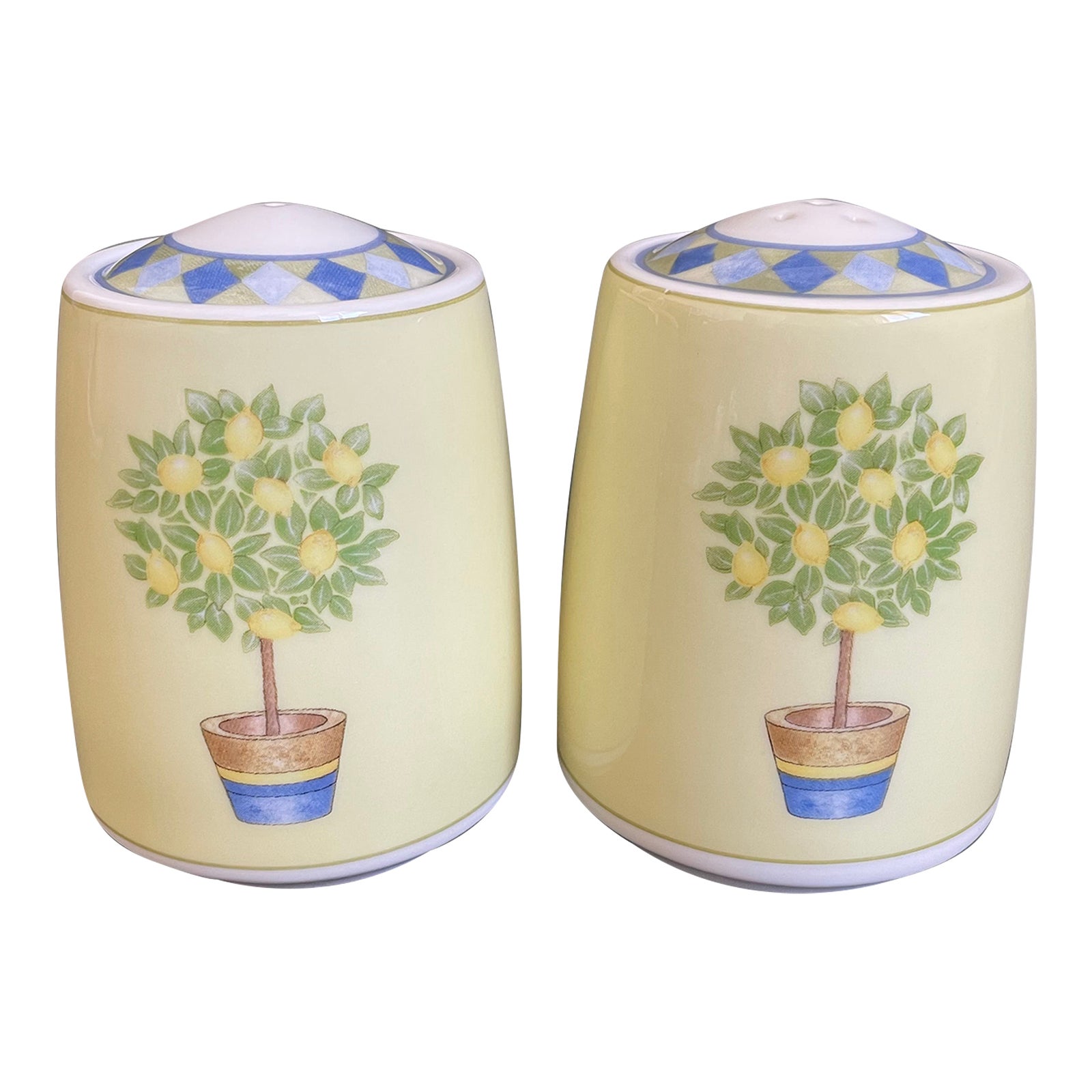 Royal Doulton Carmina Lemon Tree Salt & Pepper Shakers | Chairish