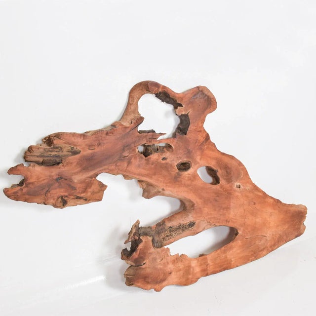 1960s Organic Raw Edge Slab Rustic Walnut Wood Root Sculpture Free Form ...