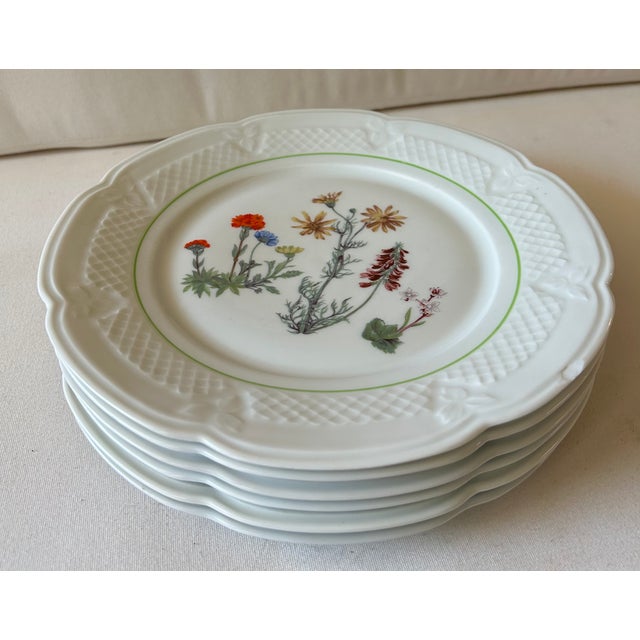 Six Vintage Boho French Country Chic "Wild Flower" Porcelain Dinner ...