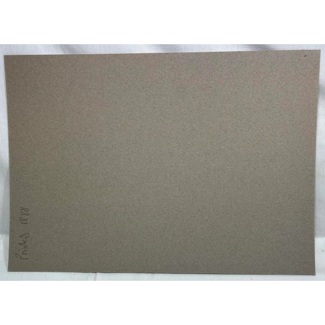 Antique Hand Colored Bird Print Showcasing a Majestic Masked Gull ...