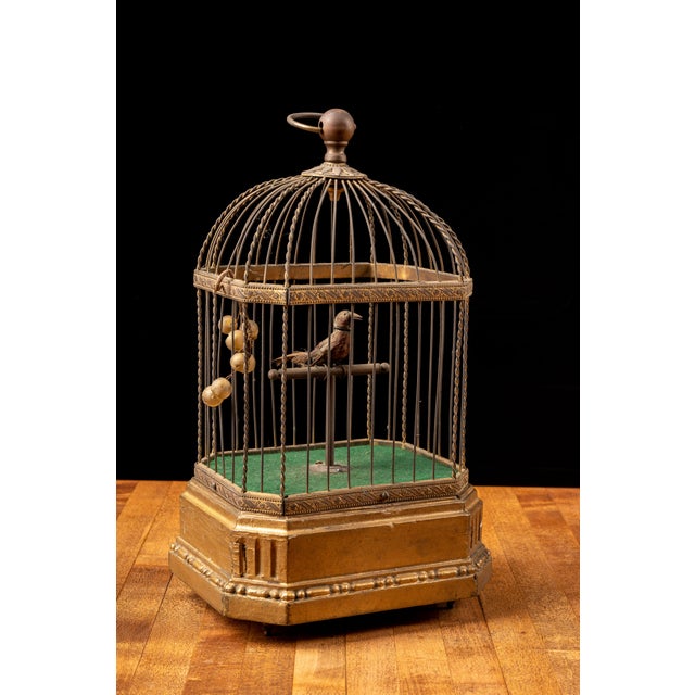 19th Century Functioning Singing Bird Automaton | Chairish
