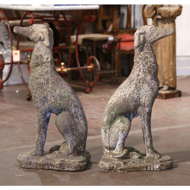 Vintage French Outdoor Weathered Carved Stone Greyhound Dog Sculptures ...