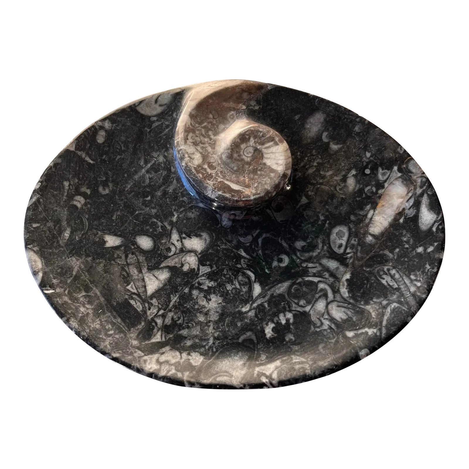 Black Orthoceras Fossil Small Oval Dish With Ammonite Ring | Chairish