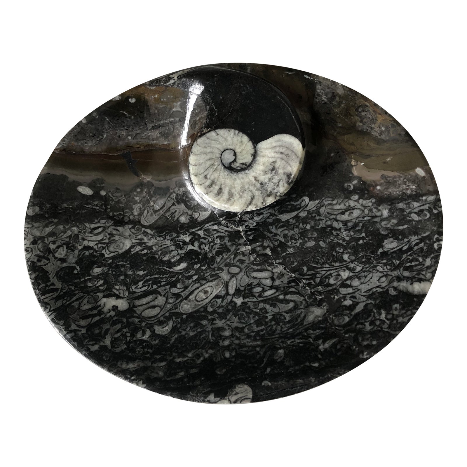 Stone Fossil Dish with Raised Fossil Design | Chairish