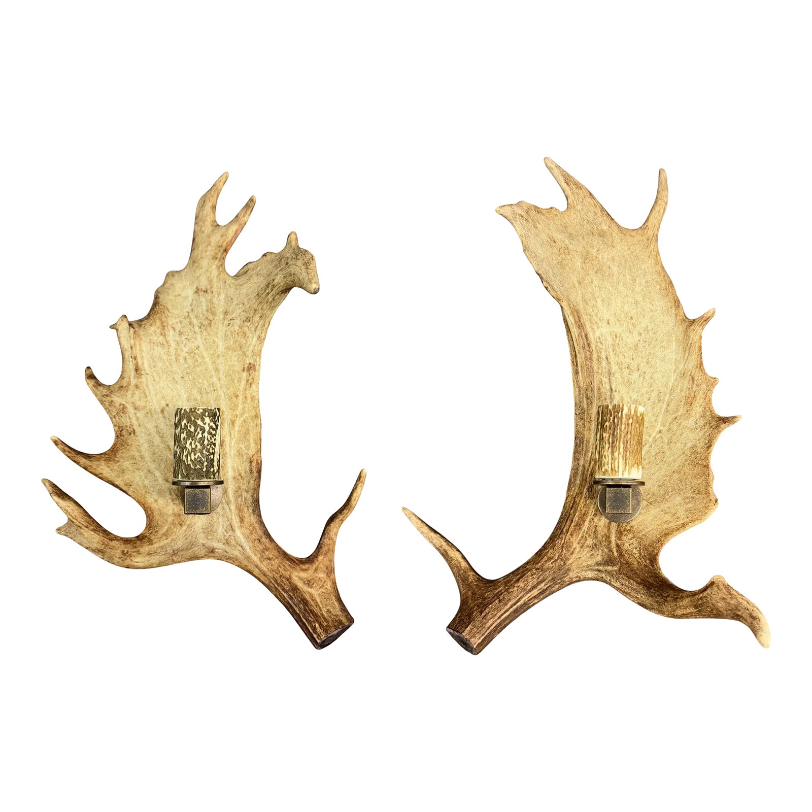 Pair of Swiss Fallow Deer Antler Sconces | Chairish