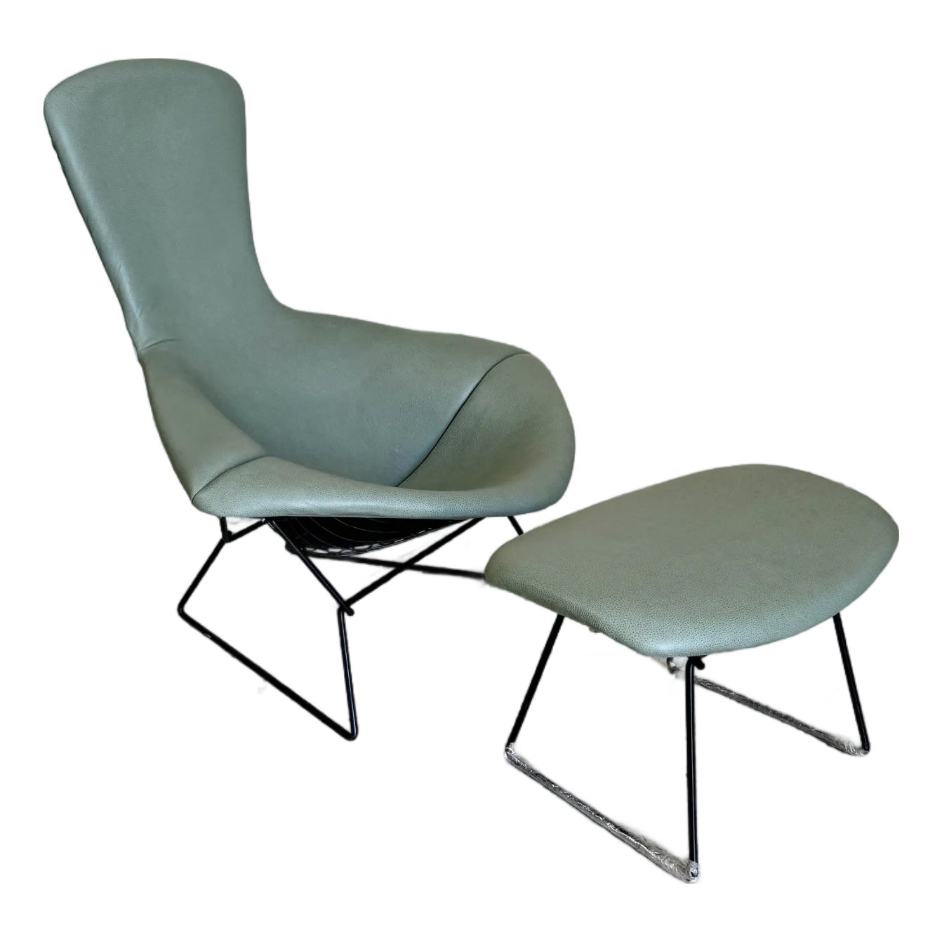 Mid Century Modern Bird Chair and Ottoman by Harry Bertoia for Knoll ...