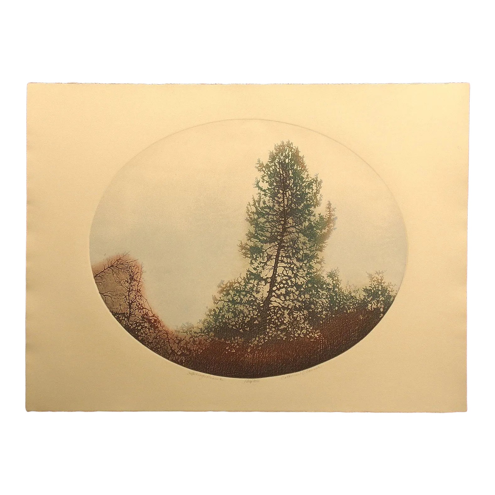 Catherine Ruane O'Connor "Spring Pines I" Original Signed Etching on ...