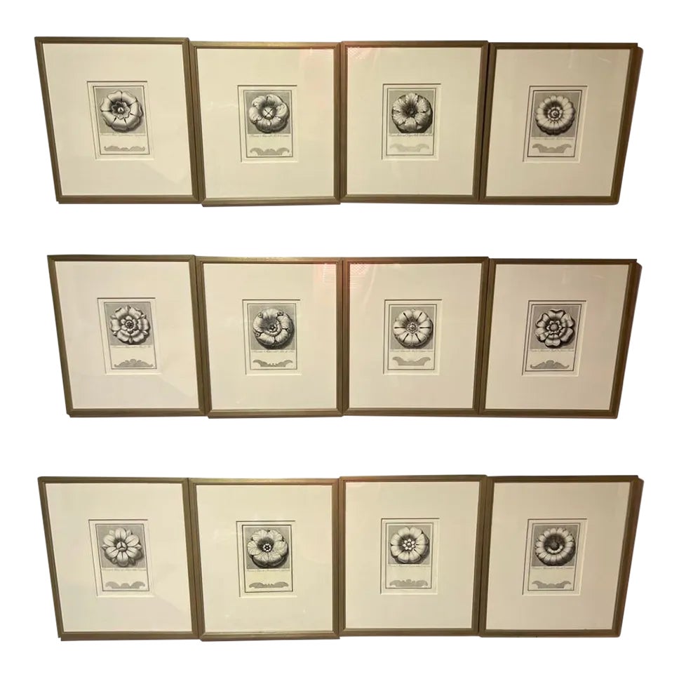 Set of 12, 18th Century Italian Roman Architectural Rosettes by Carlo ...