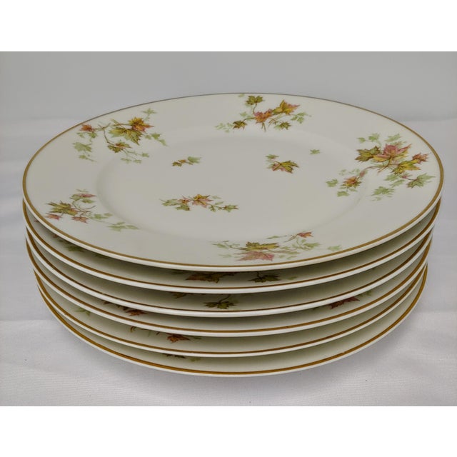 Vintage Haviland's Autumn Leaf Pattern Dinner Plates, Set of 6 | Chairish