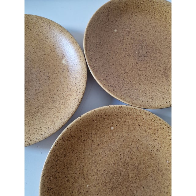 Vintage Stoneware Dinnerware Service from Longchamp, 1970s, Set of 20 ...
