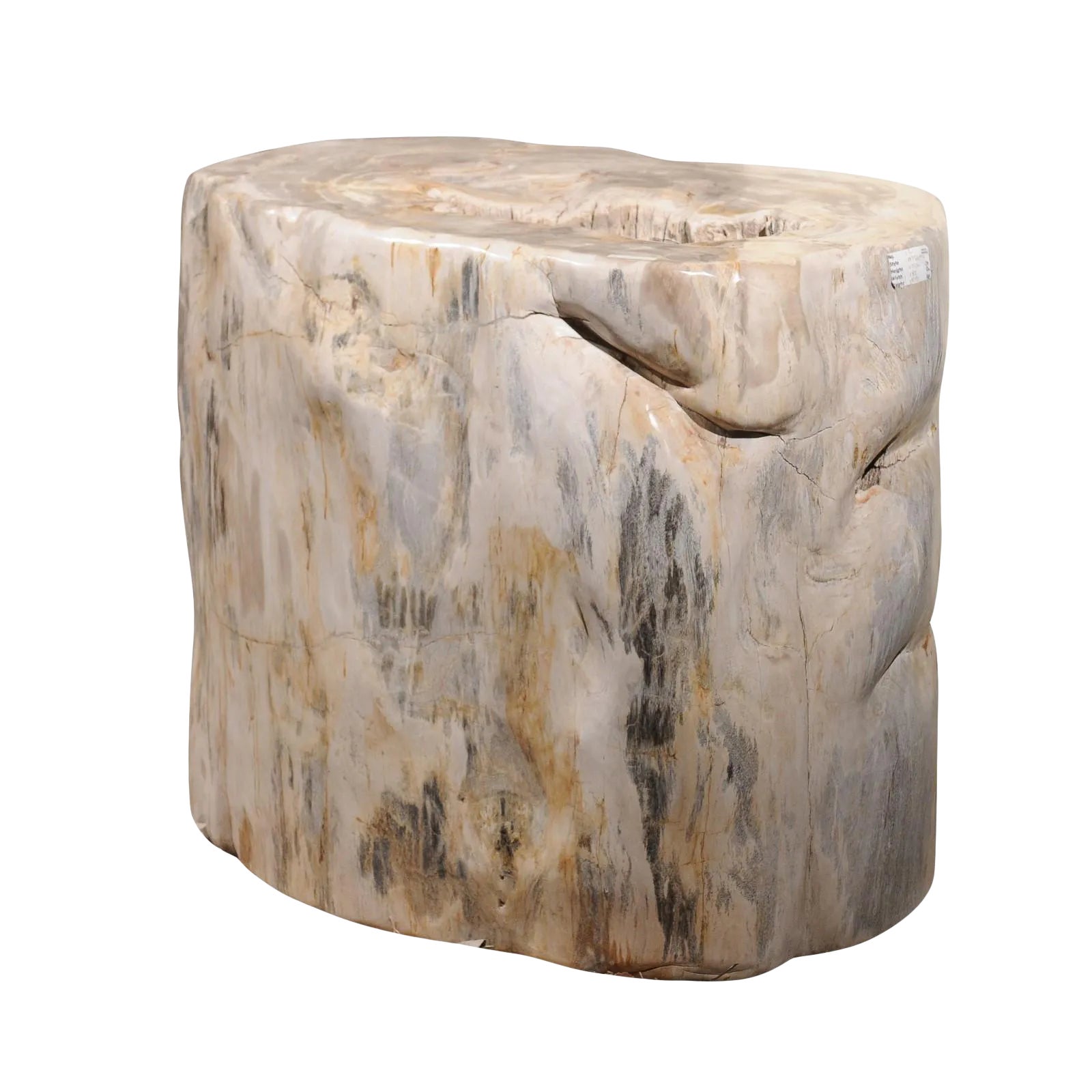 Large Petrified Wood Table Base | Chairish