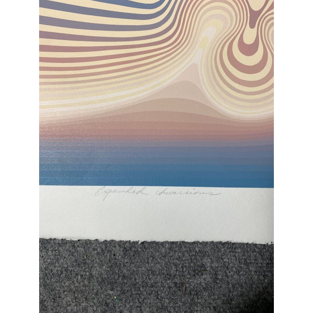 1981 Roy Ahlgren “Expanded Inversions” Op Art Serigraph | Chairish