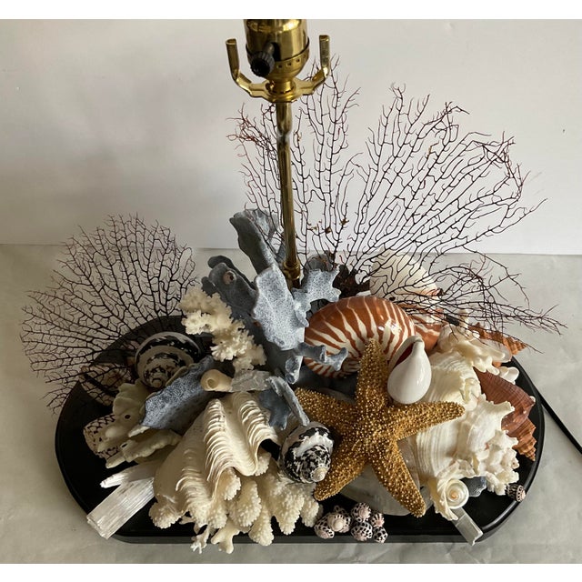 Shelled Table Lamp, Original Design | Chairish