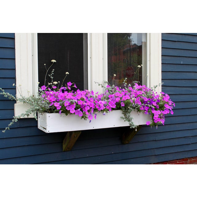 Photography of Purple Flowers Window Box by Josh Moulton | Chairish